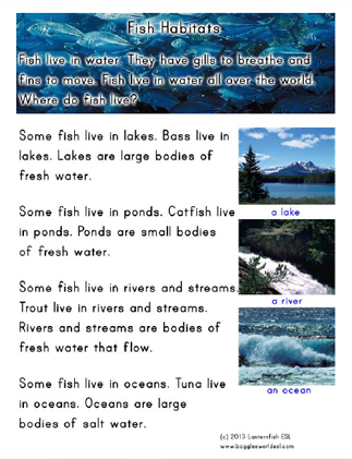 Fish Habitats